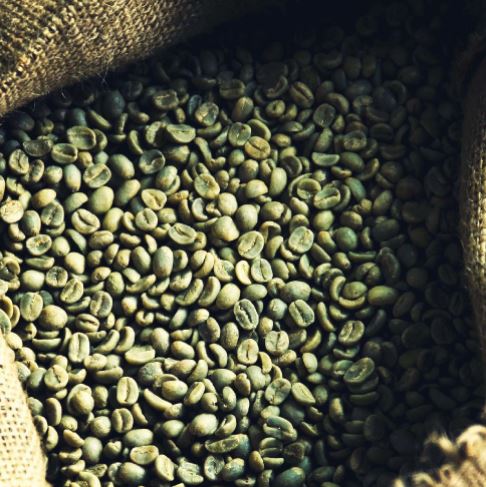 Green Coffee Bean Vacuum Conveyor - Filquip